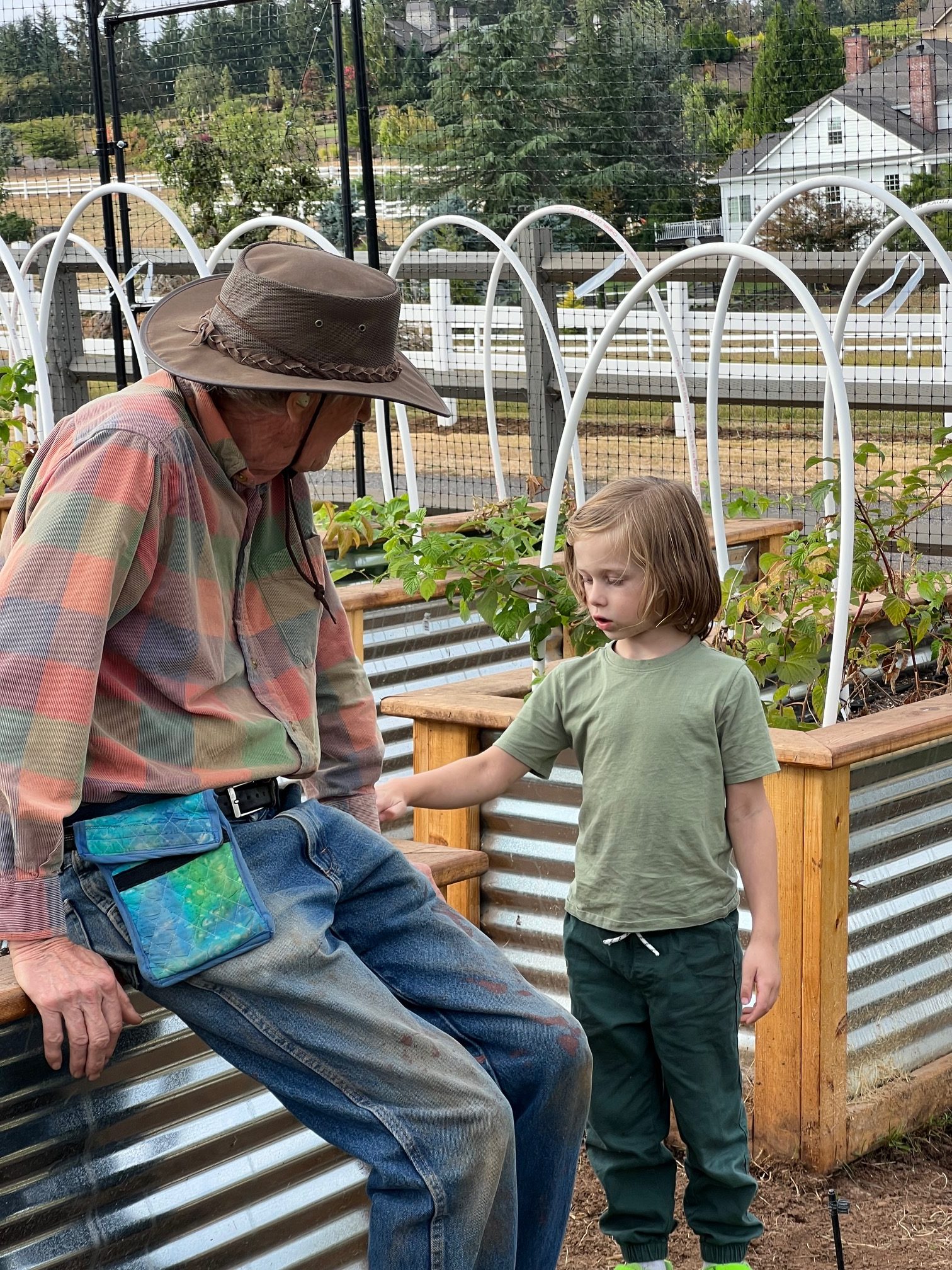 How Our Garden Grows – The Green PLANeT Gardens