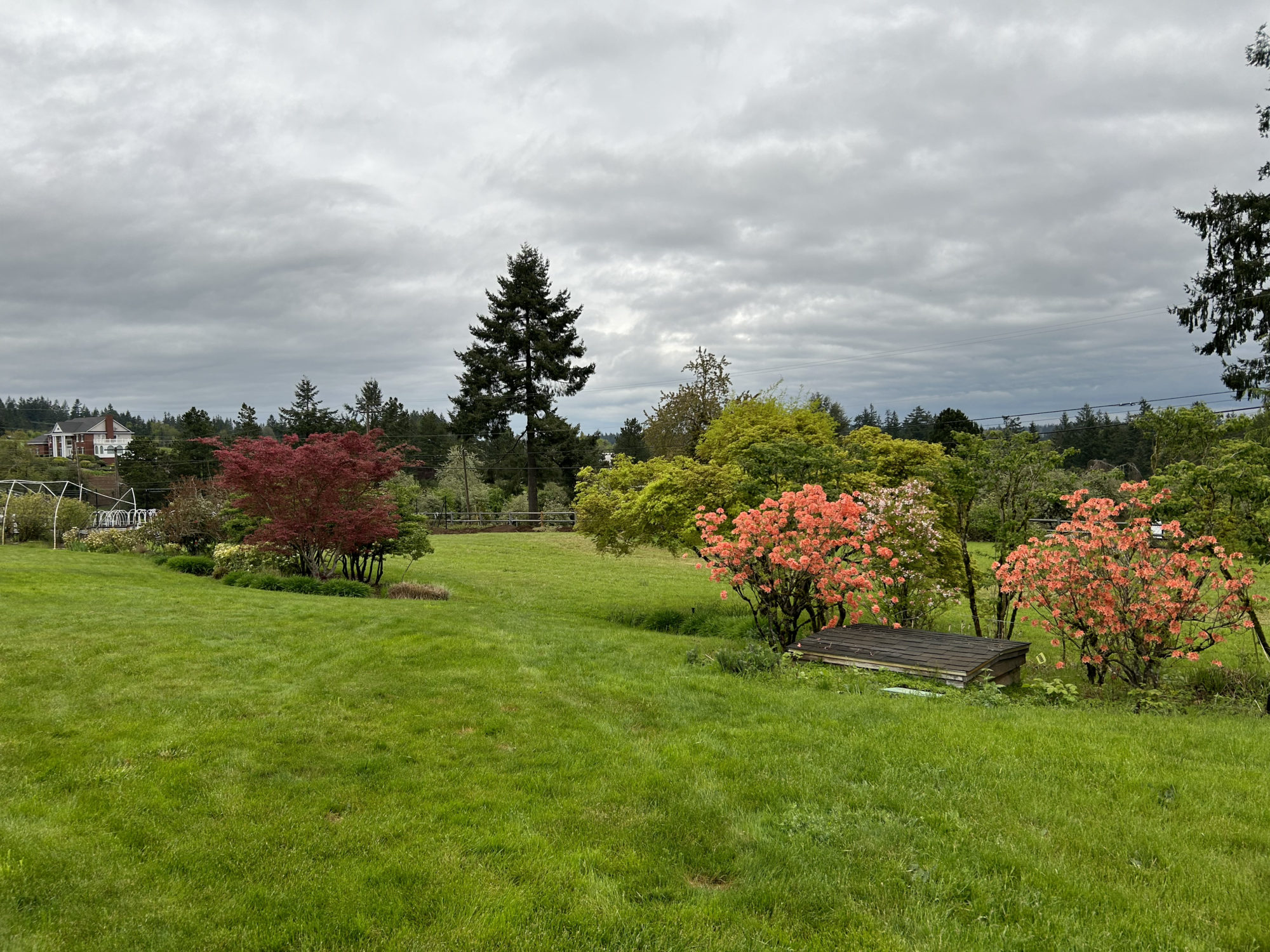 About – The Green PLANeT Gardens