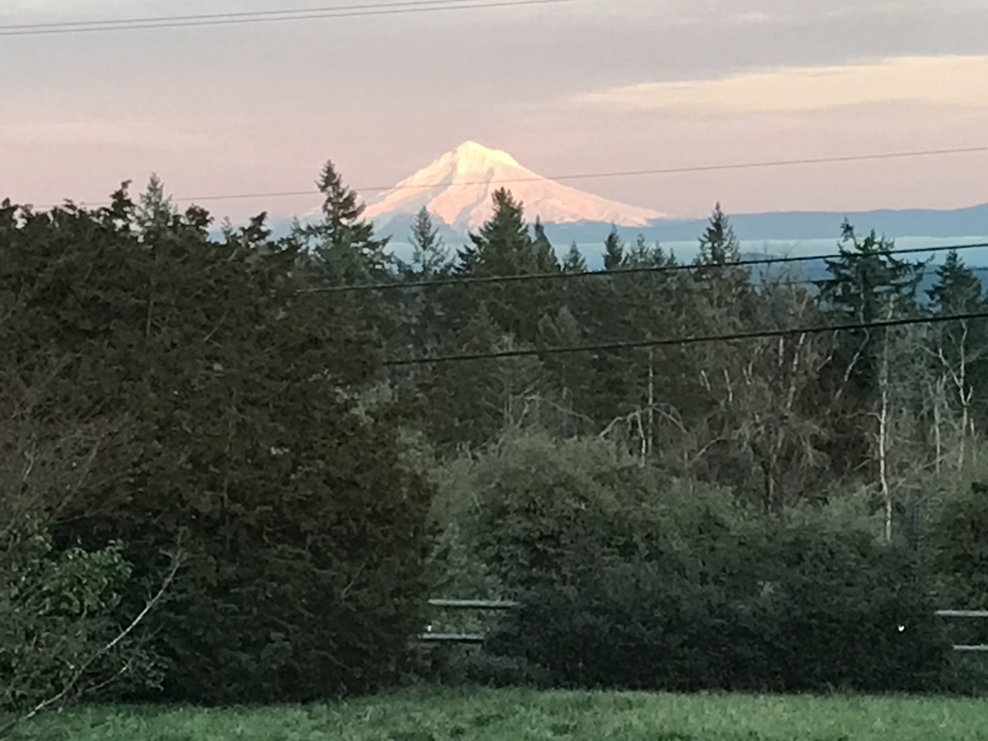 The Green PLANeT Gardens – A new climate wise garden in the Pacific ...