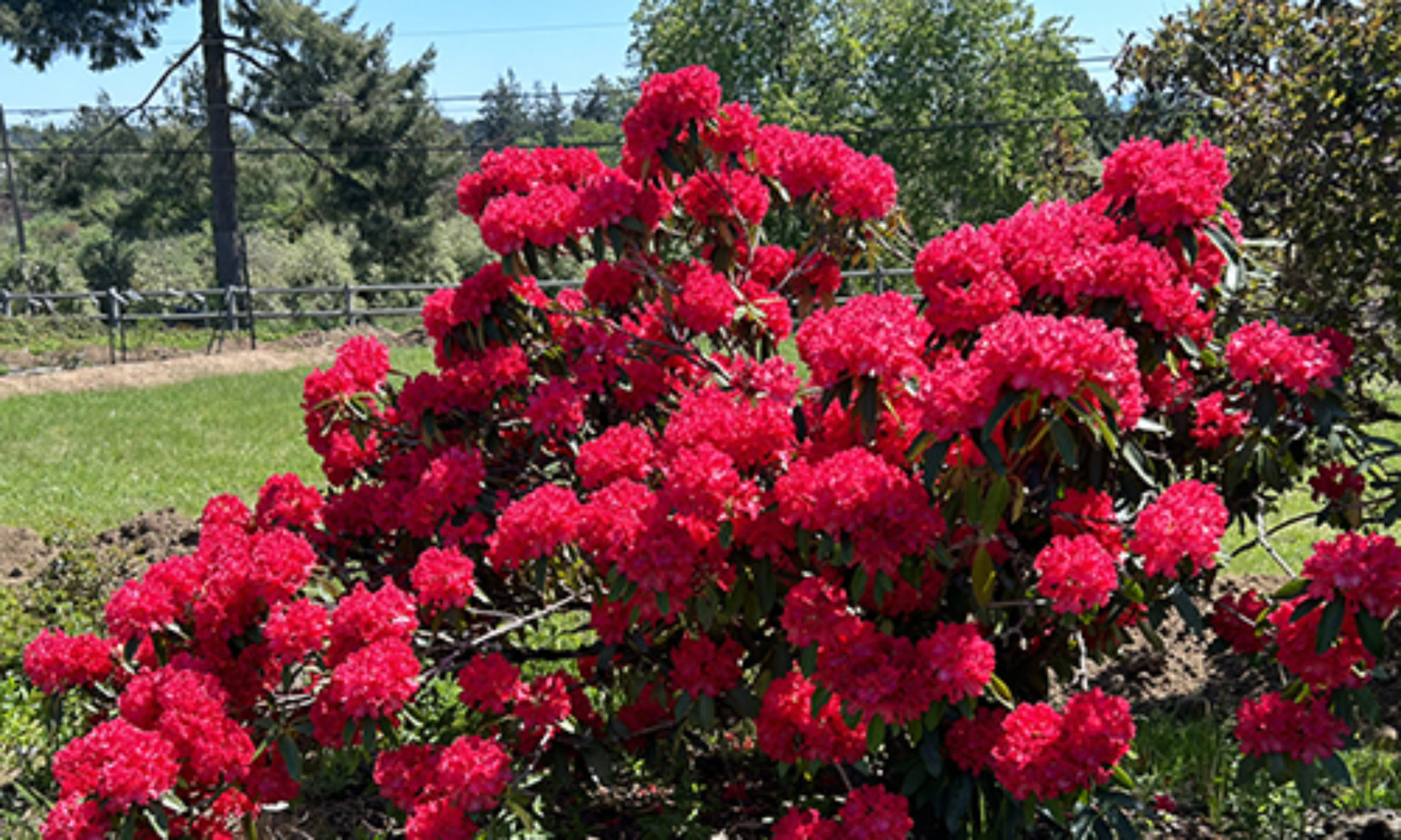 The Green PLANeT Gardens – A new climate wise garden in the Pacific ...